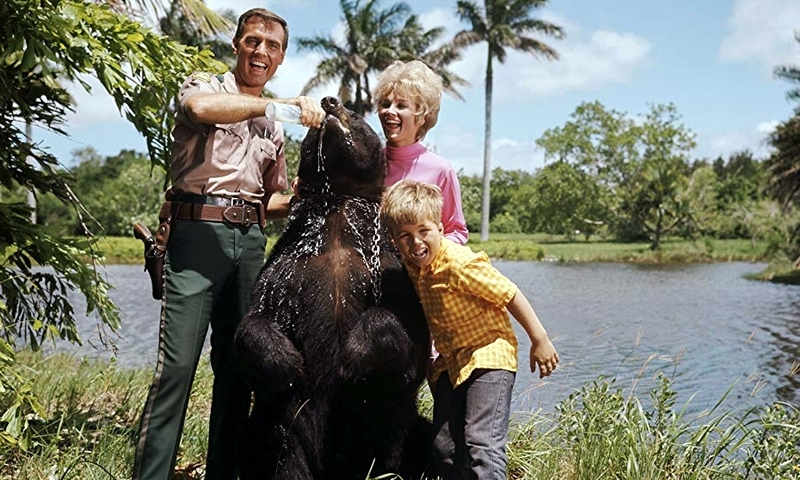 Mi oso y yo : tener un plantígrado como mascota | Series para gourmets
